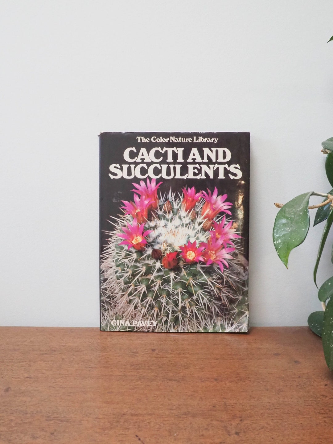Cacti and Succulents - Gina Pavey - Color Nature Library - 70s ...