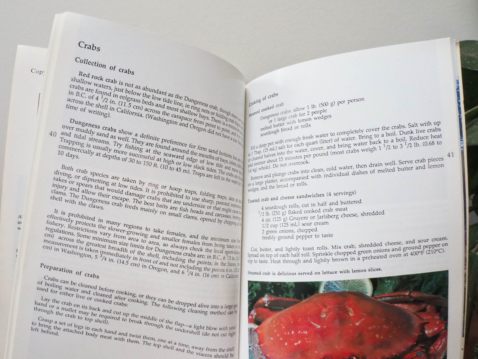 Seashore Guidebook Pair - the Western Seashore - the Edible Seashore - Rick M. Harbo - 1988 ...