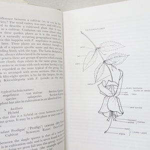 Fuchsias in Colour - Brian & Valerie Proudley - Pocket Reference - 1984 - Vintage House Plant ...