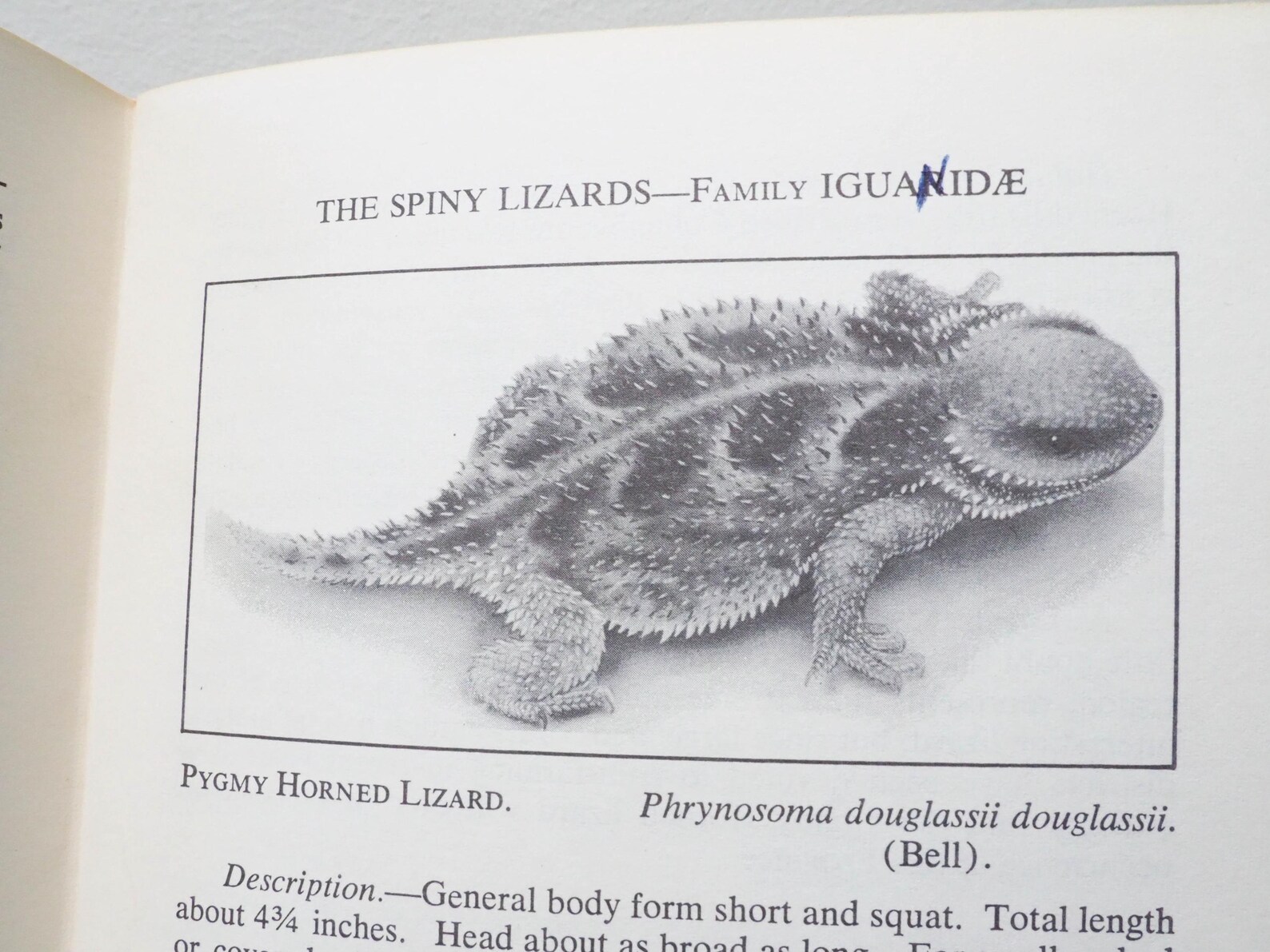 The Reptiles of British Columbia - G. Clifford Carl - 1968 - Reptile ...
