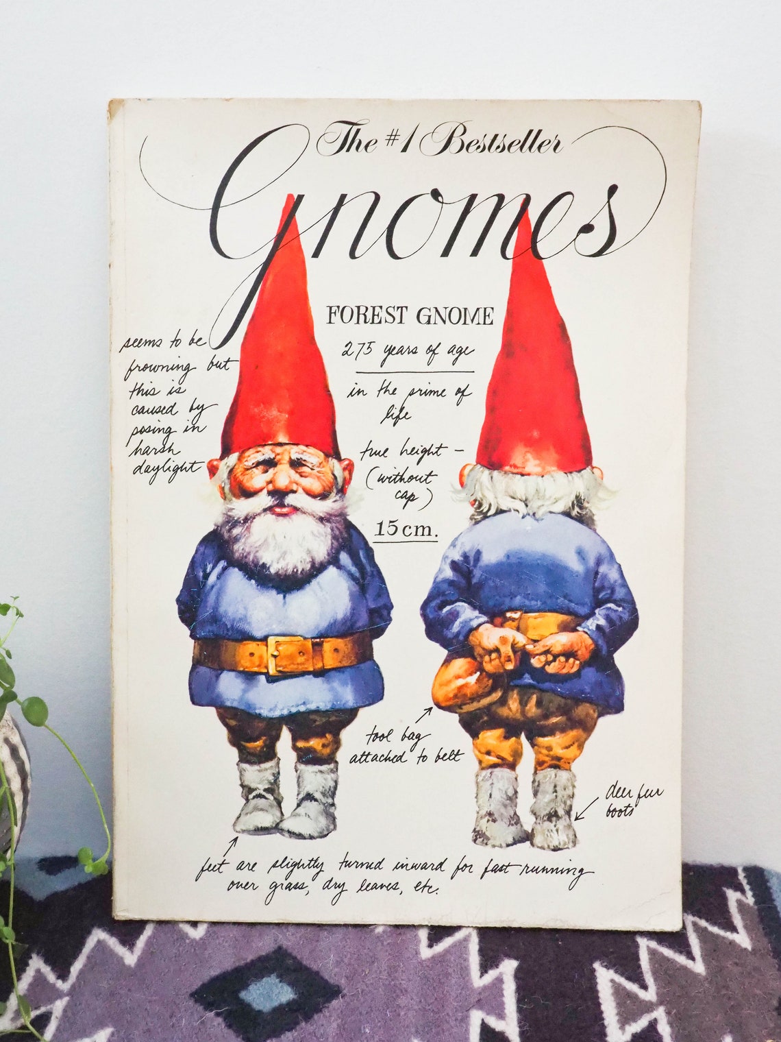Gnomes Rien Poortvliet Wil Huygen 70s Paperback - Etsy Canada