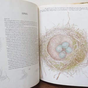 Janet Marsh's Nature Diary 1984 Hardcover Book English - Etsy