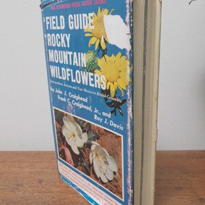 60s Rocky Mountain Wildflower Field Guide - Vtg Wild Plant Guide ...