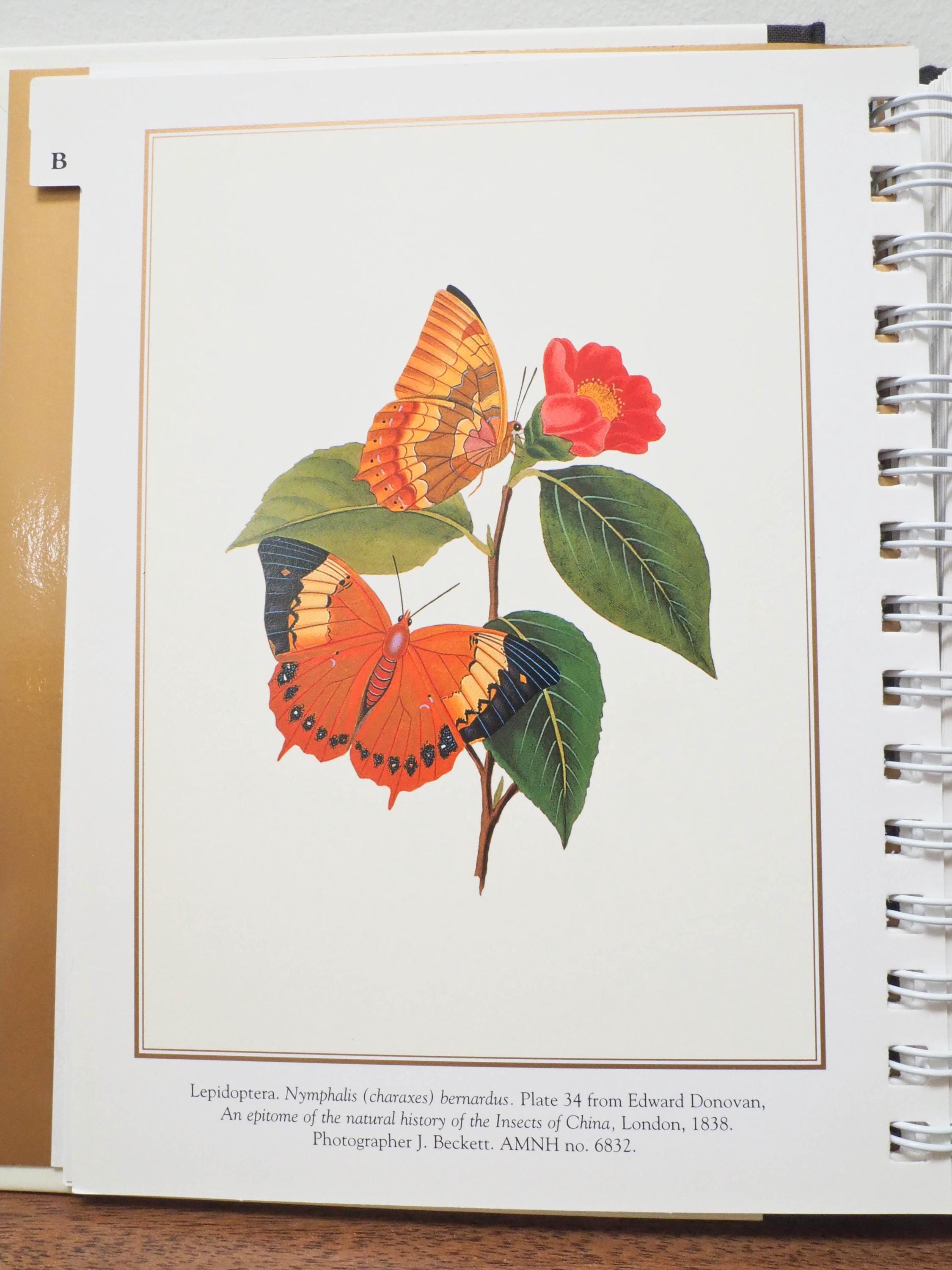 Vtg Butterflies Address Book - American Museum of Natural History ...