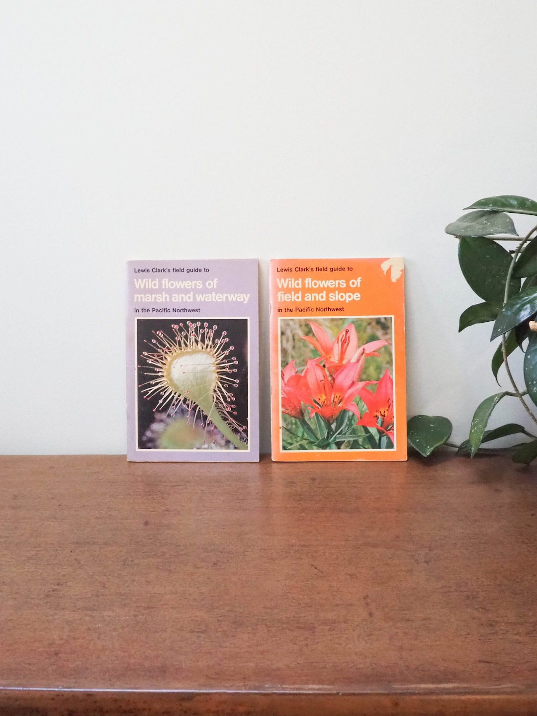 Wild Flowers Book Pair Field and Slope and Marsh and Waterway, Both in ...