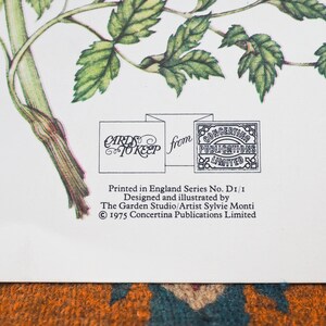 70s Knot Garden Pamphlet - Medicinal Herbs Garden Booklet - Vintage ...
