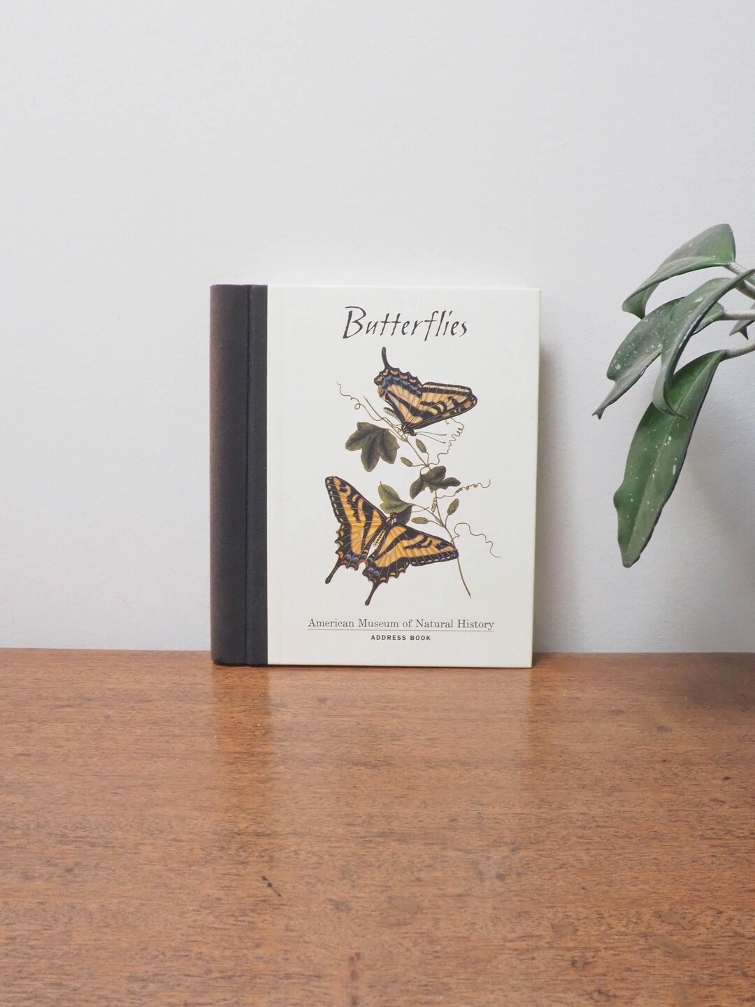Vtg Butterflies Address Book - American Museum of Natural History ...