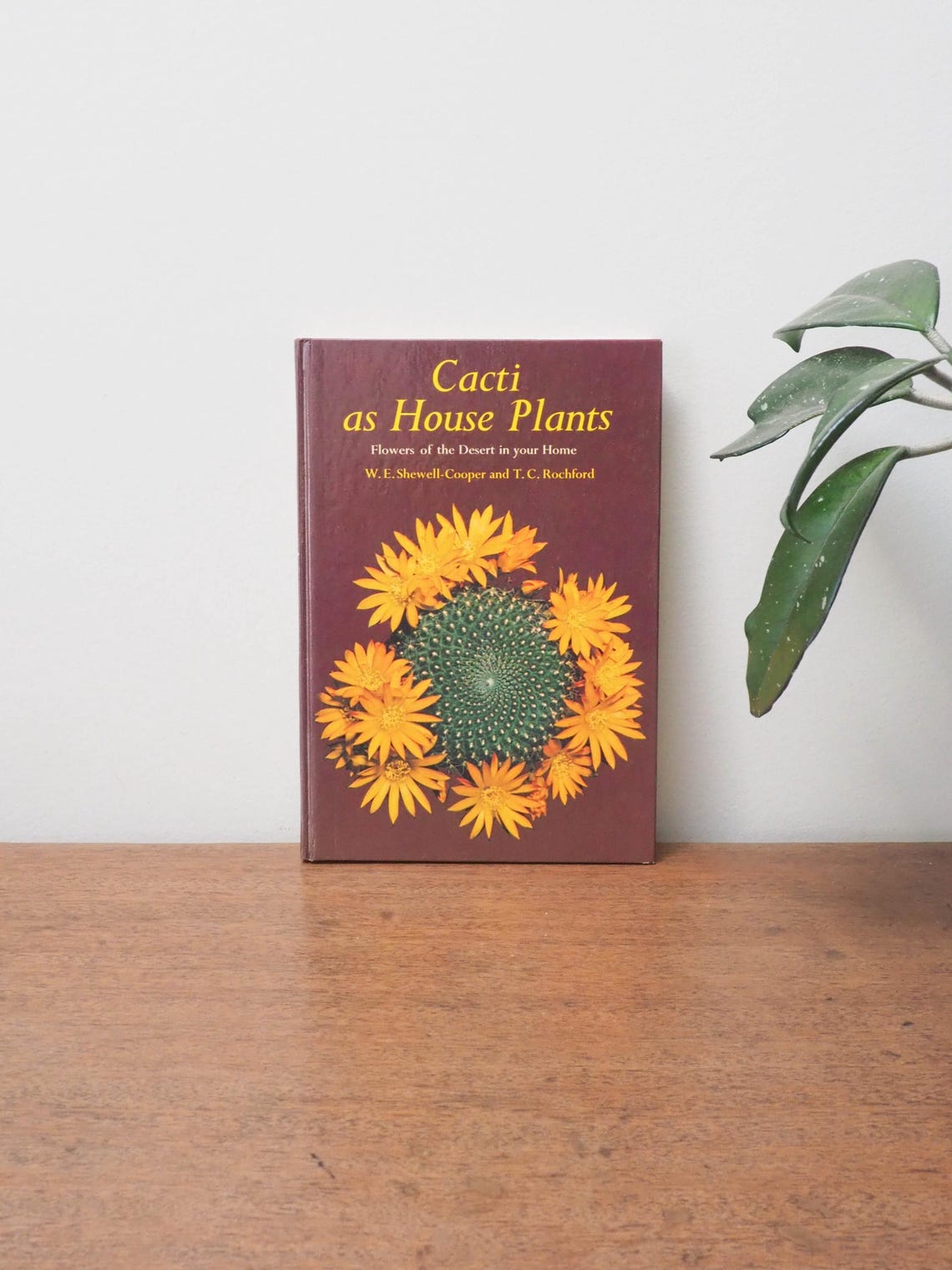 Cacti as House Plants - Shewell-cooper - Flowers of the Desert in Your ...