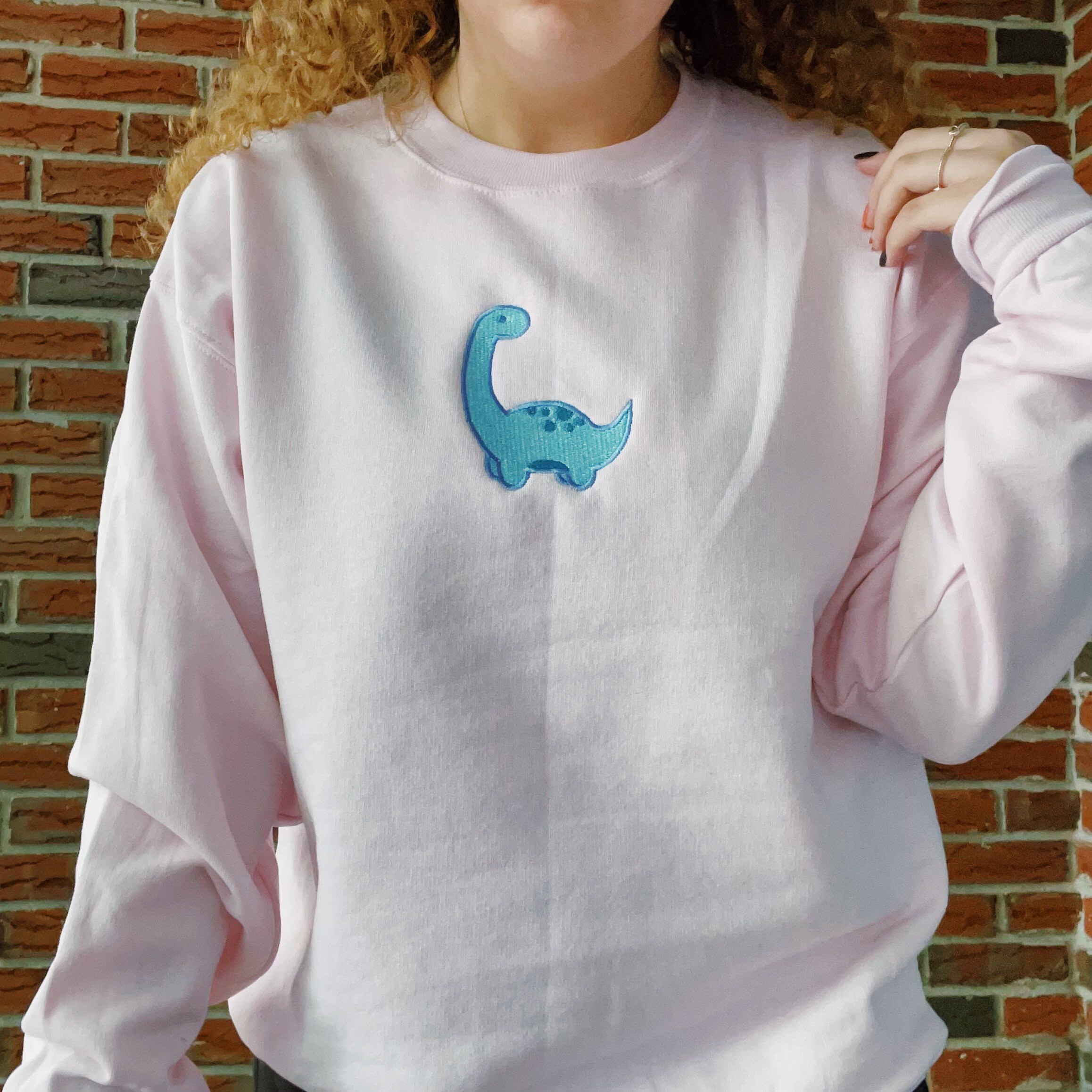 Dinosaur Embroidered Crewneck Sweatshirt | Etsy