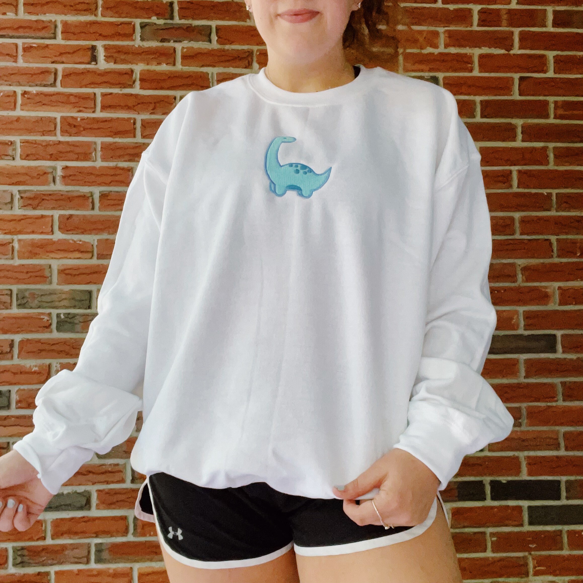 Dinosaur Embroidered Crewneck Sweatshirt - Etsy