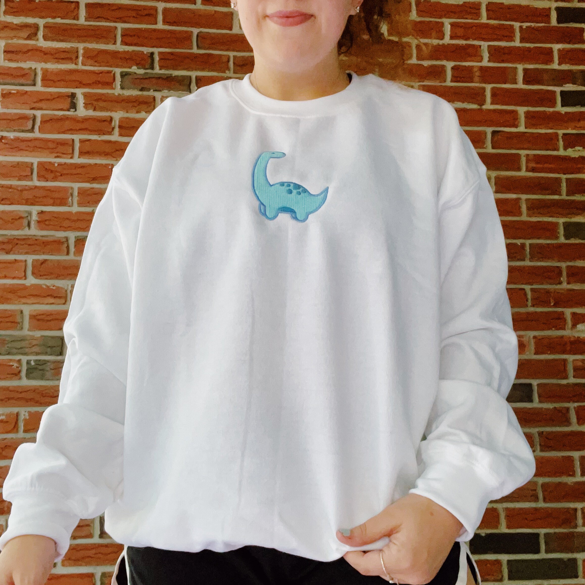 Dinosaur Embroidered Crewneck Sweatshirt | Etsy
