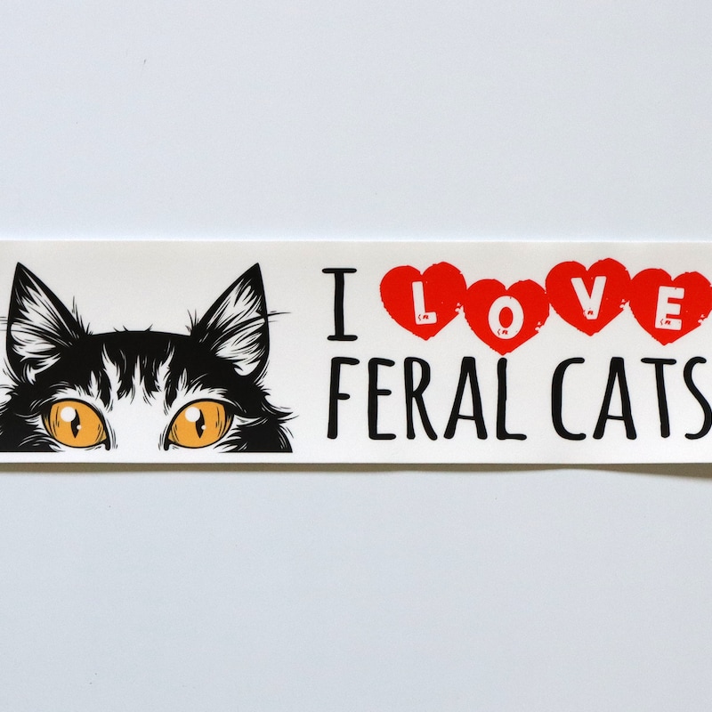 Cat Bumper Sticker - Etsy