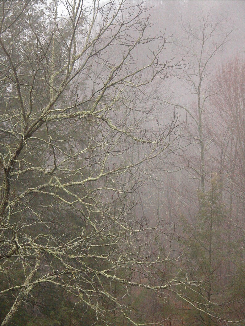 Earth Moon and Fog Panel - Etsy