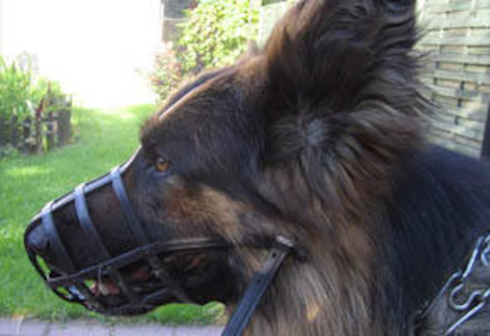 Bespoke Premium Leather Muzzle | Etsy