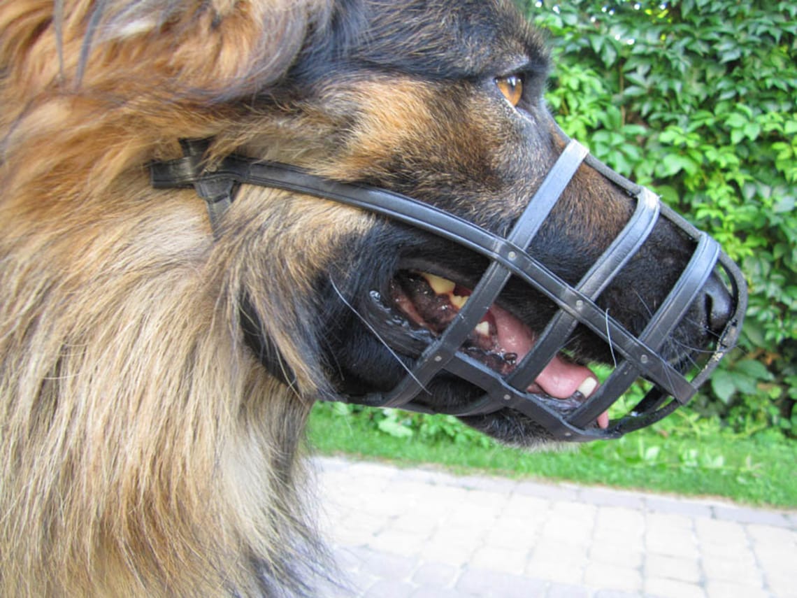 Bespoke Premium Leather Muzzle | Etsy