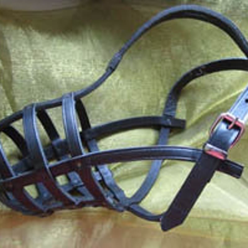 Muzzle for Humans - Etsy