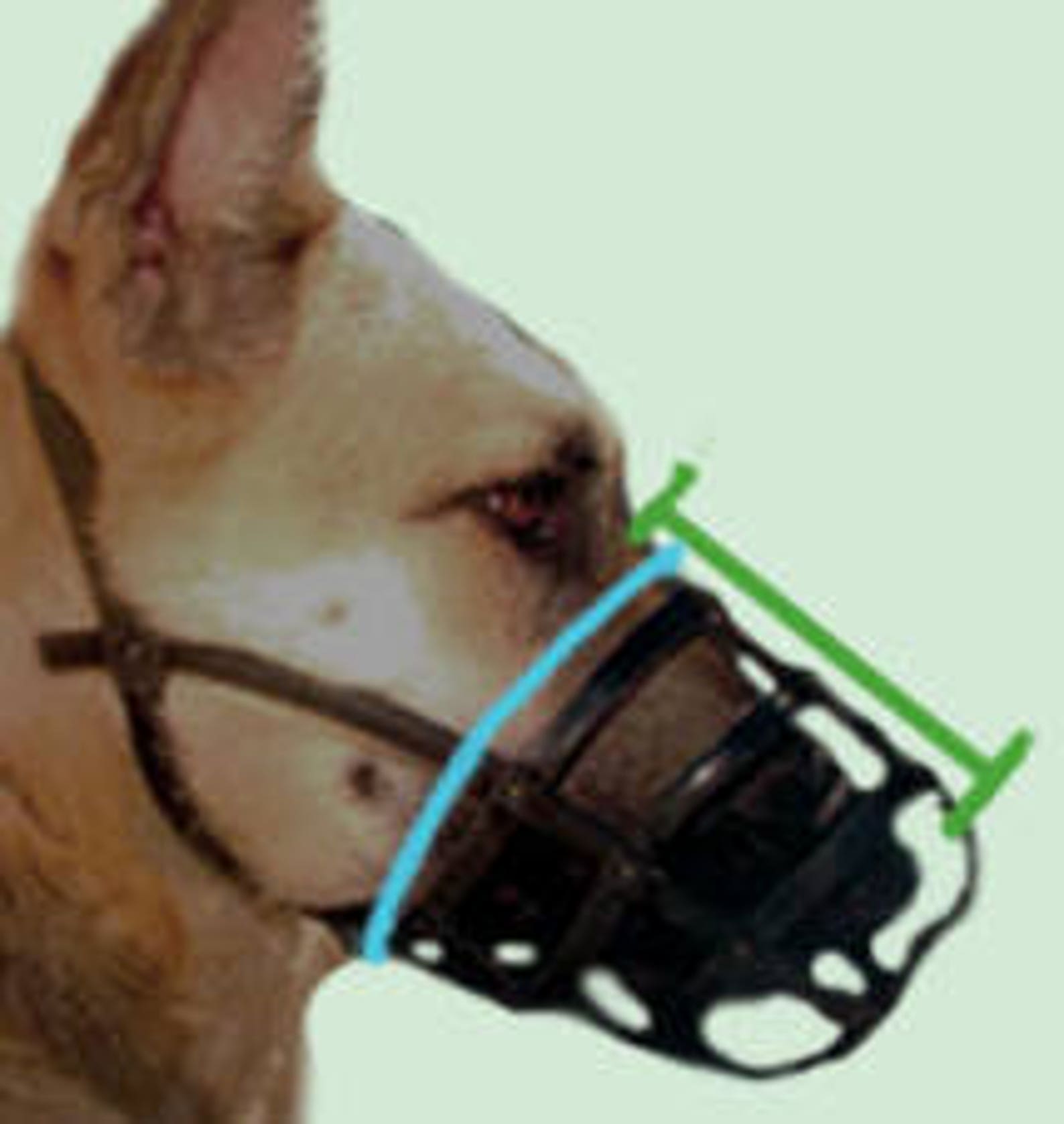 Bespoke Premium Leather Muzzle | Etsy