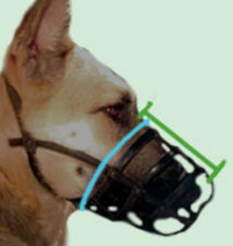 Bespoke Premium Leather Muzzle - Etsy