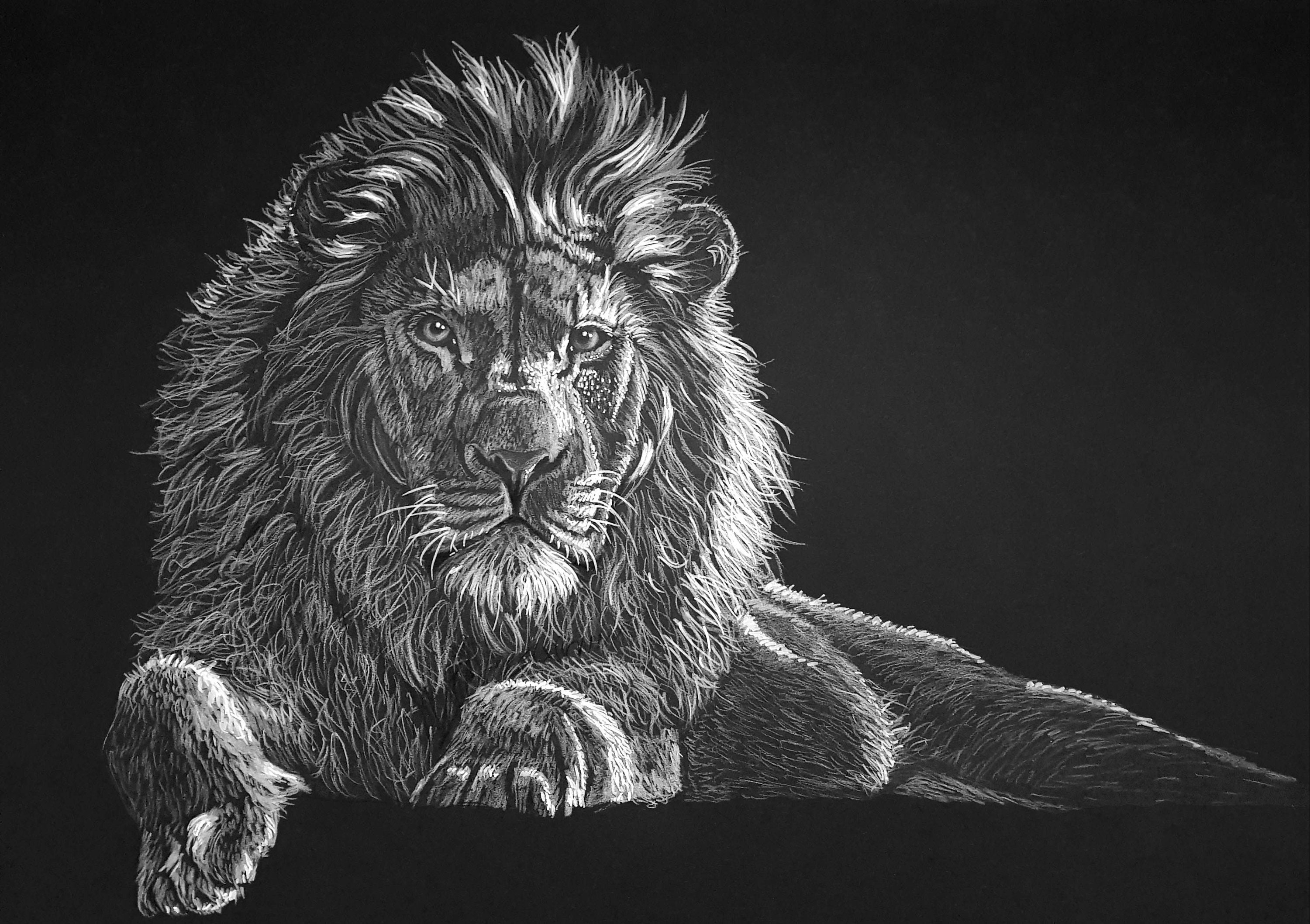 Majestuoso estampado del León. Impresión Giclée. Arte de pared. - Etsy ...