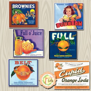 Vintage Ephemera, Vintage Food Labels, Orange Juice Labels, Orange Soda ...