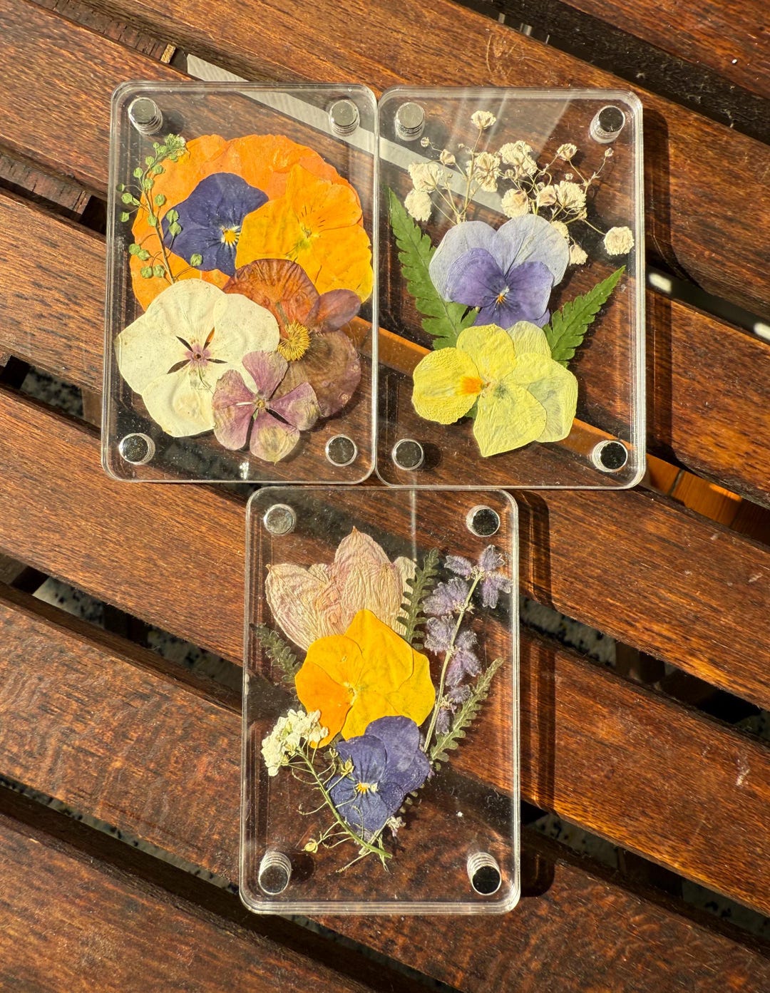 Pressed Flower Magnets | Set of 3 - Etsy