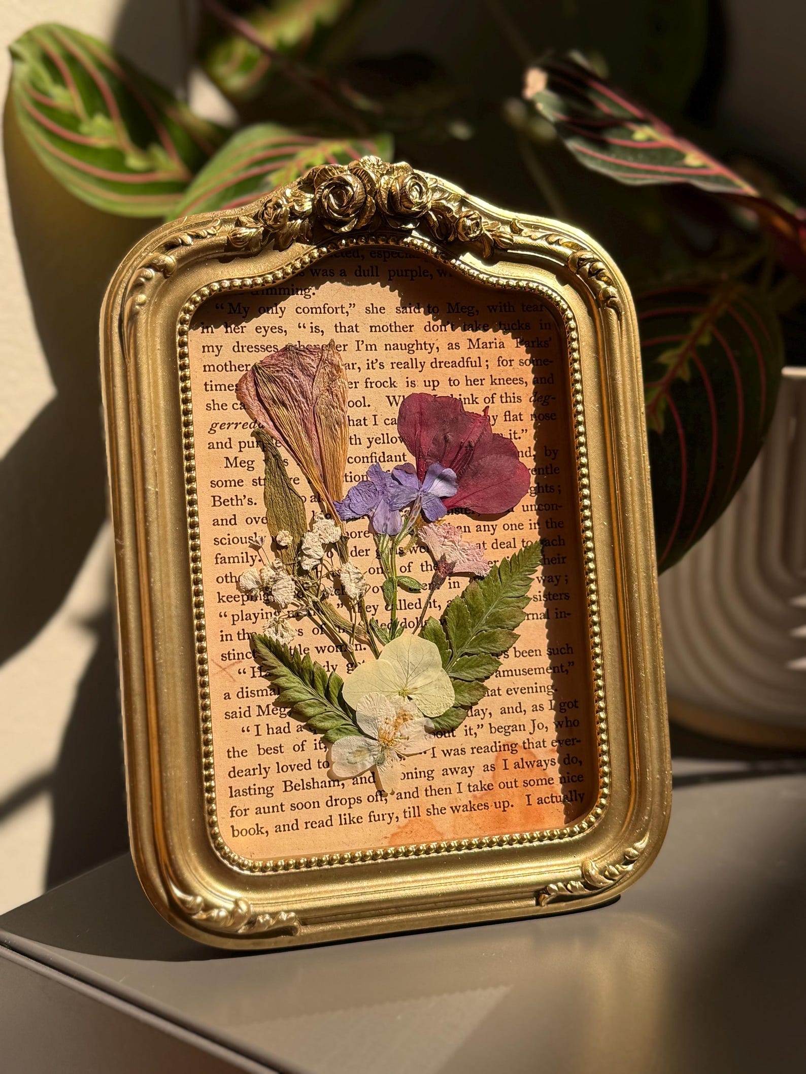 Pressed Flowers on Book Page in Vintage-like Frame | Little Women ...