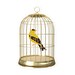 The Plated Prisoner Series : a Cage is a Cage No Matter How Gilded ...