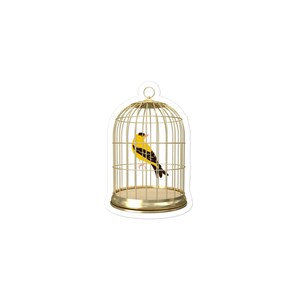 The Plated Prisoner Series : Goldfinch in a Gilded Cage Bubble-free ...