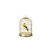 The Plated Prisoner Series : Goldfinch in a Gilded Cage Bubble-free ...