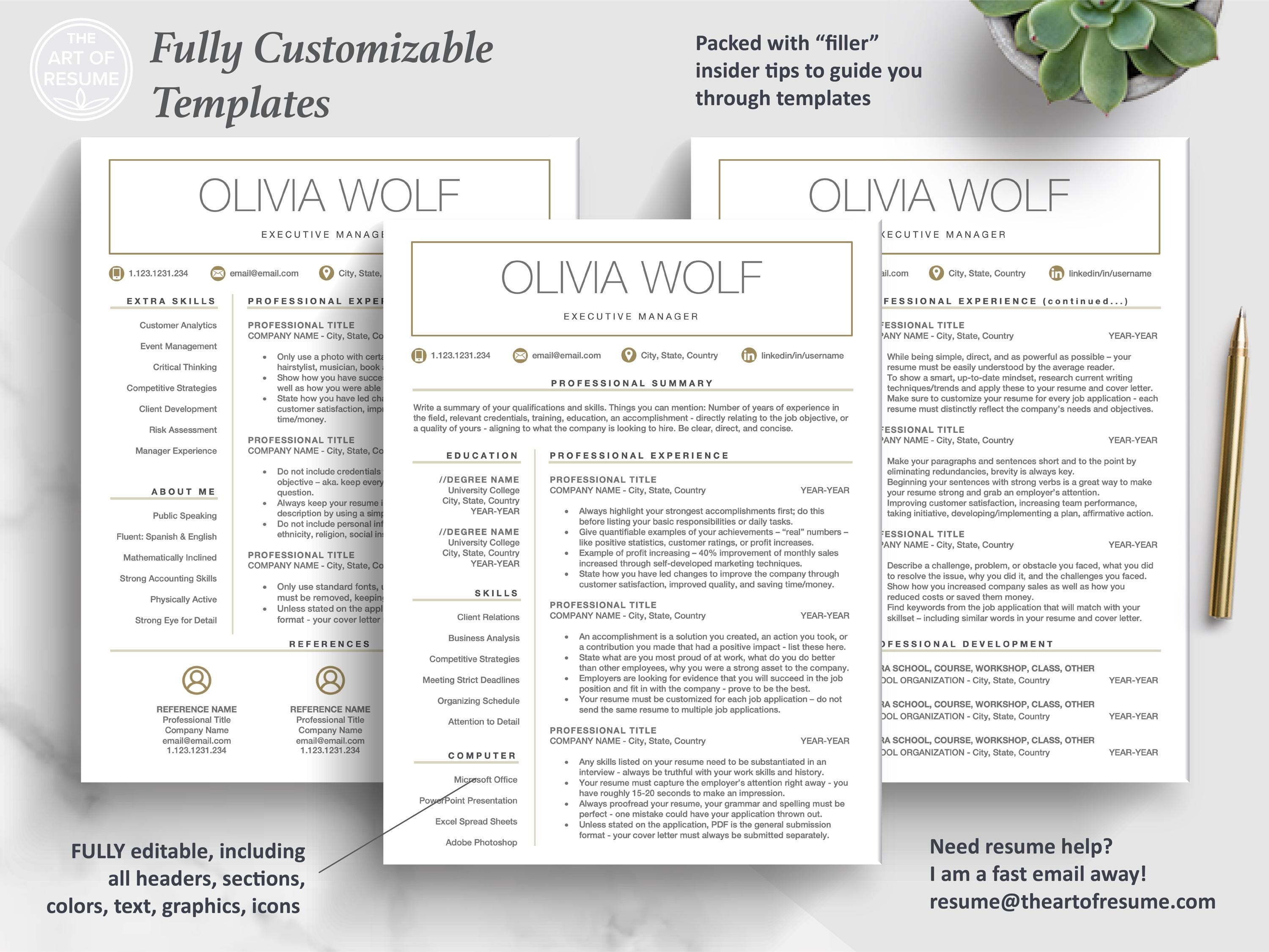 Executive Resume Templates for Word, Mac Pages, Google Docs | Best ...