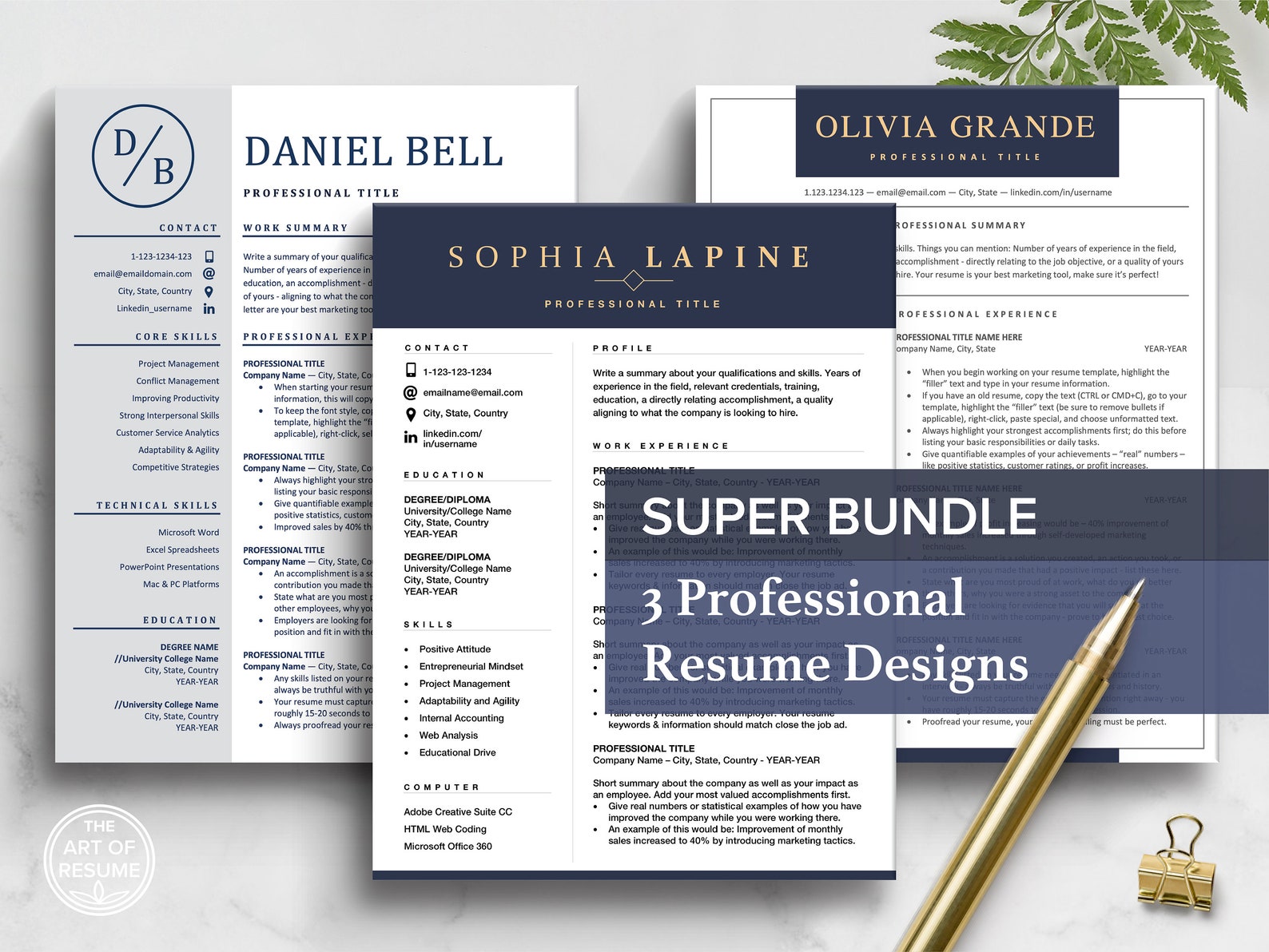 Resume Templates (3 Resume Designs) Professional Resumes, Executive ...