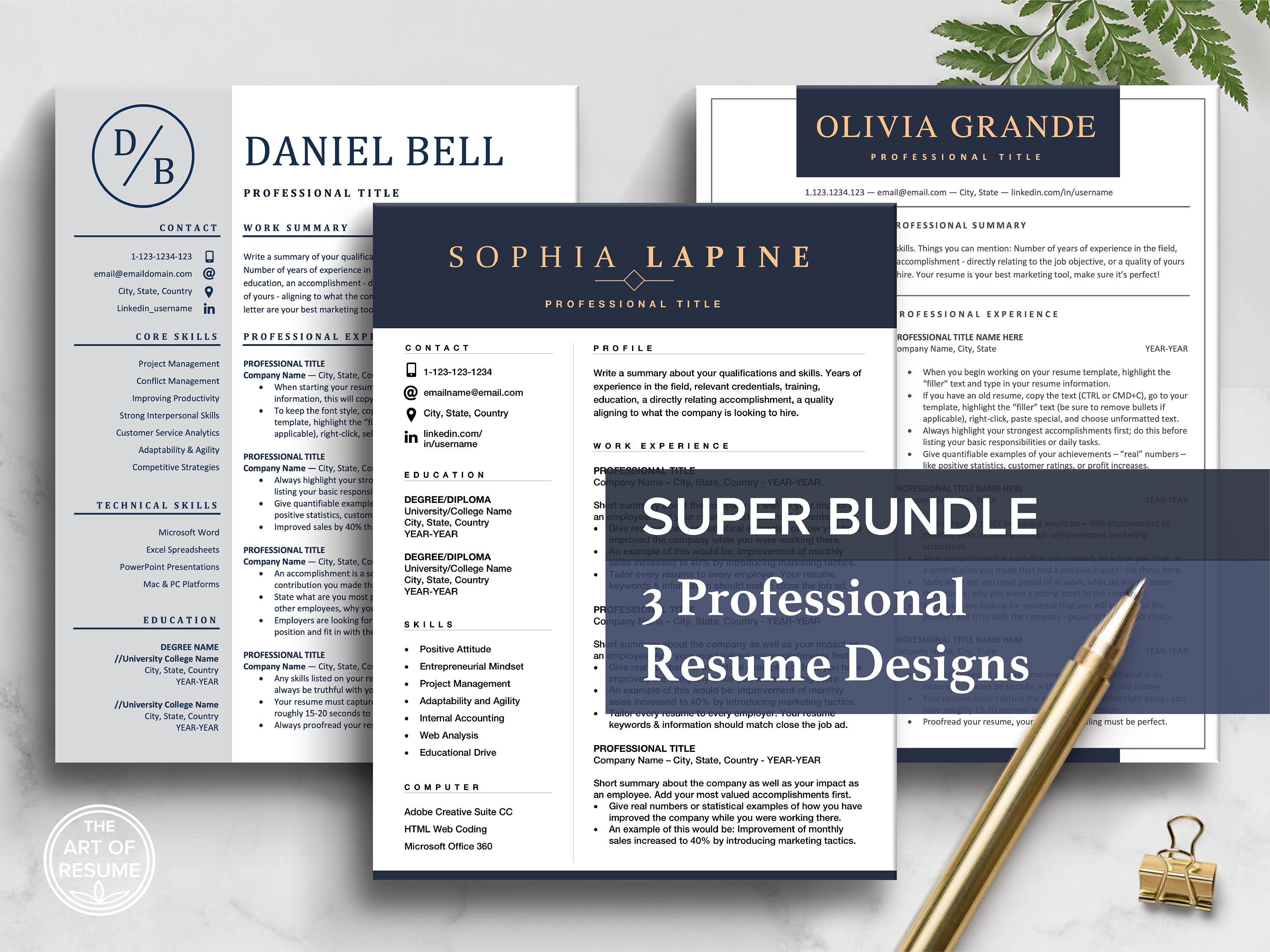 Resume Templates (3 Resume Designs) Professional Resumes, Executive ...