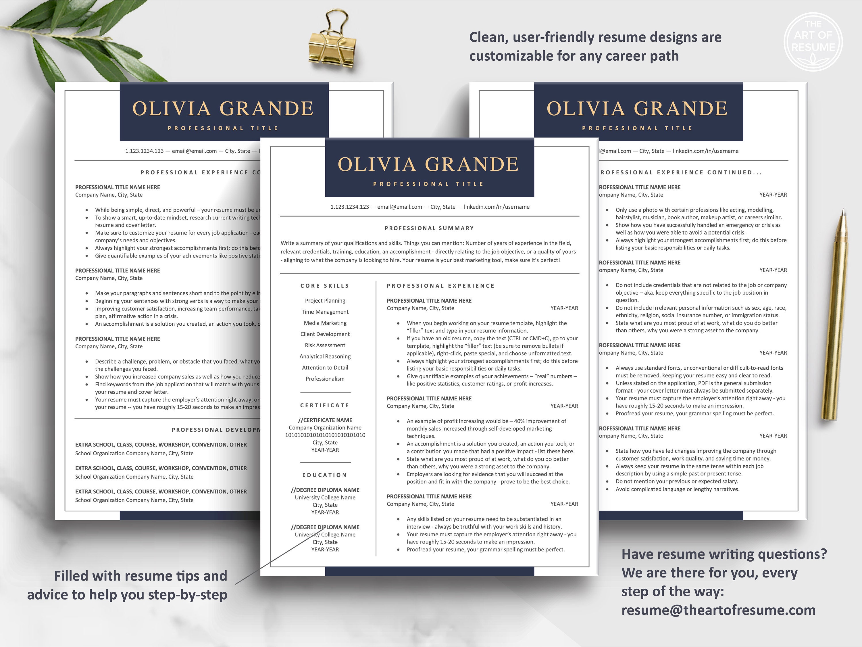 Resume Templates (3 Resume Designs) Professional Resumes, Executive ...