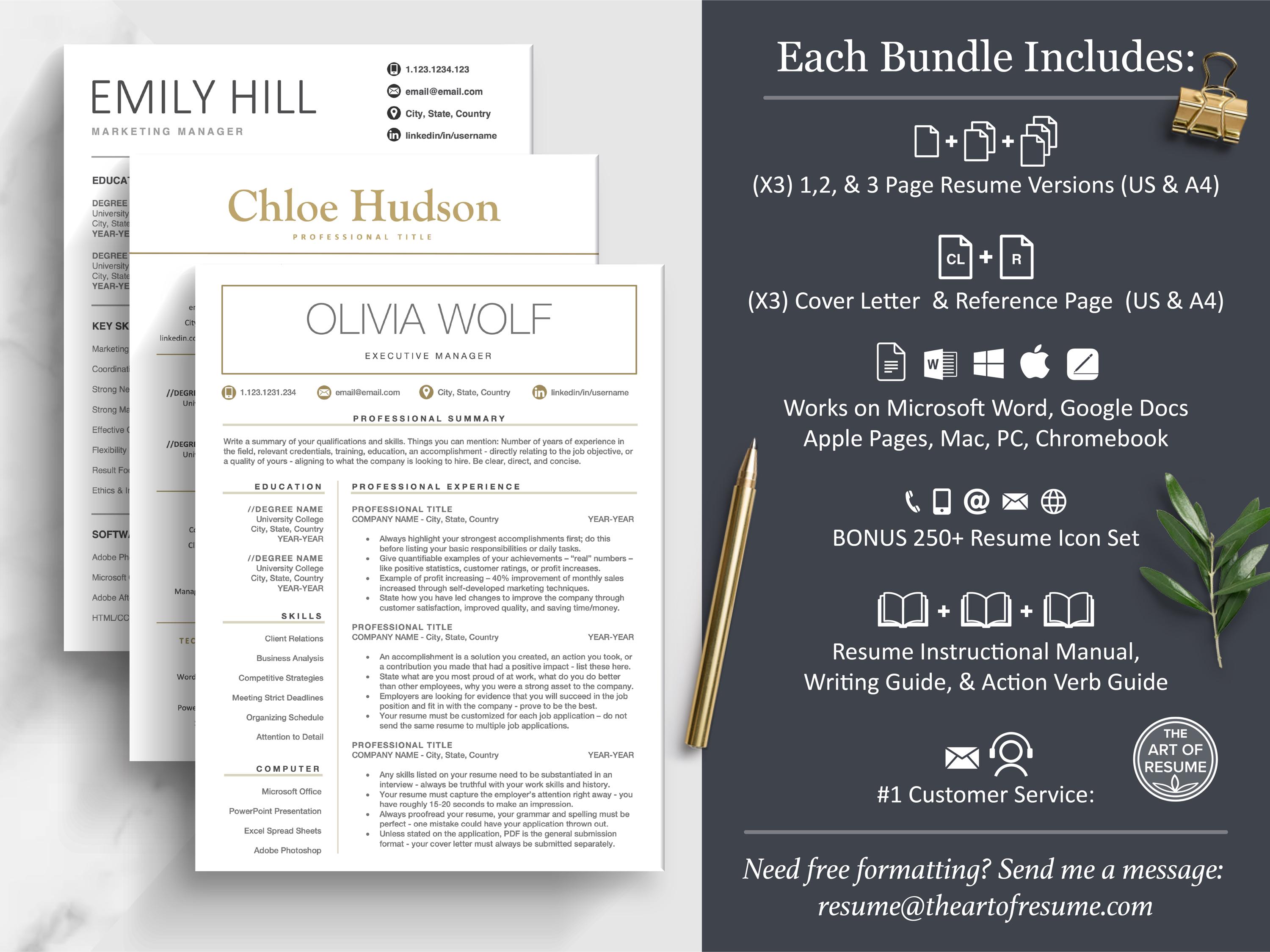 Executive Resume Templates for Word, Mac Pages, Google Docs | Best ...