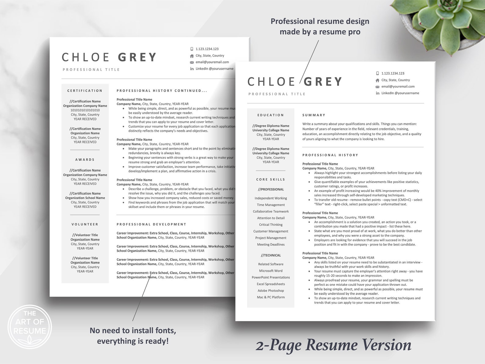 Two Column Resume Template for Word & Pages - Professional CV Template ...