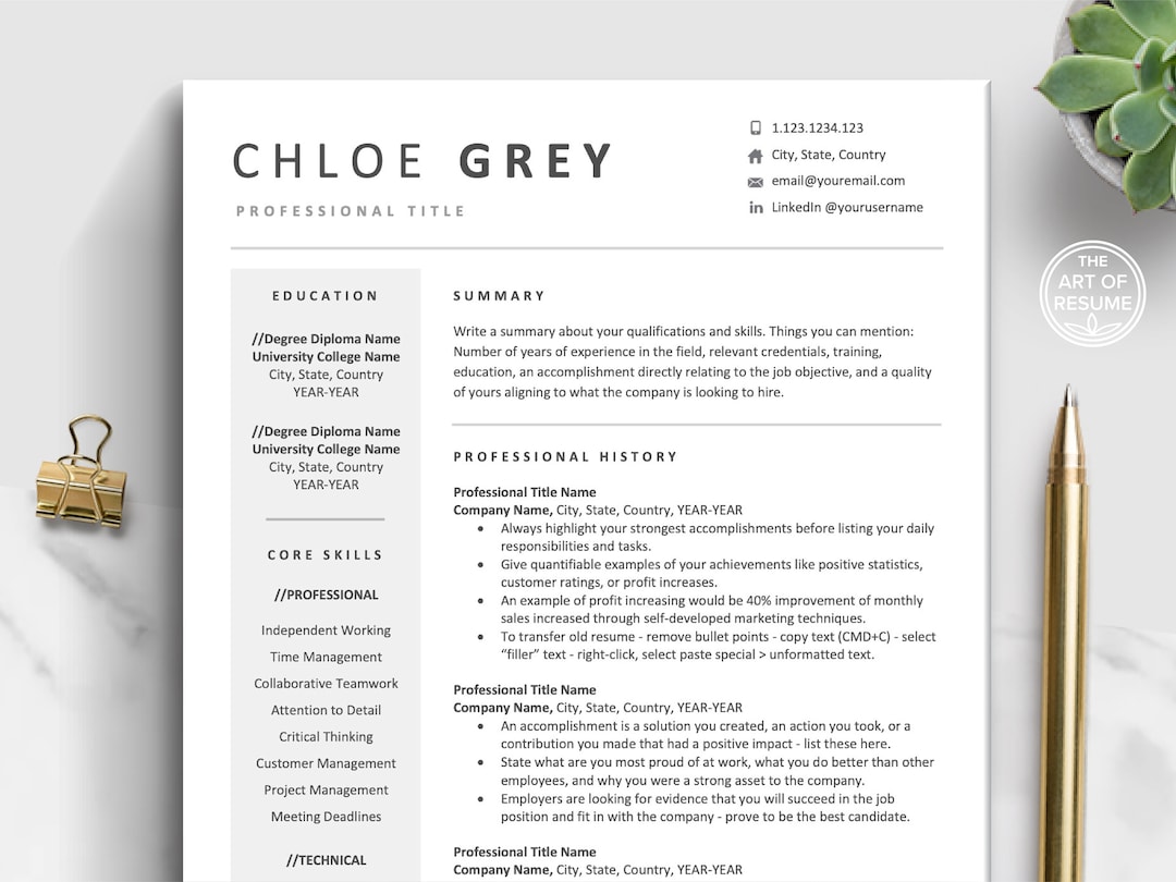 Two Column Resume Template for Word & Pages - Professional CV Template ...