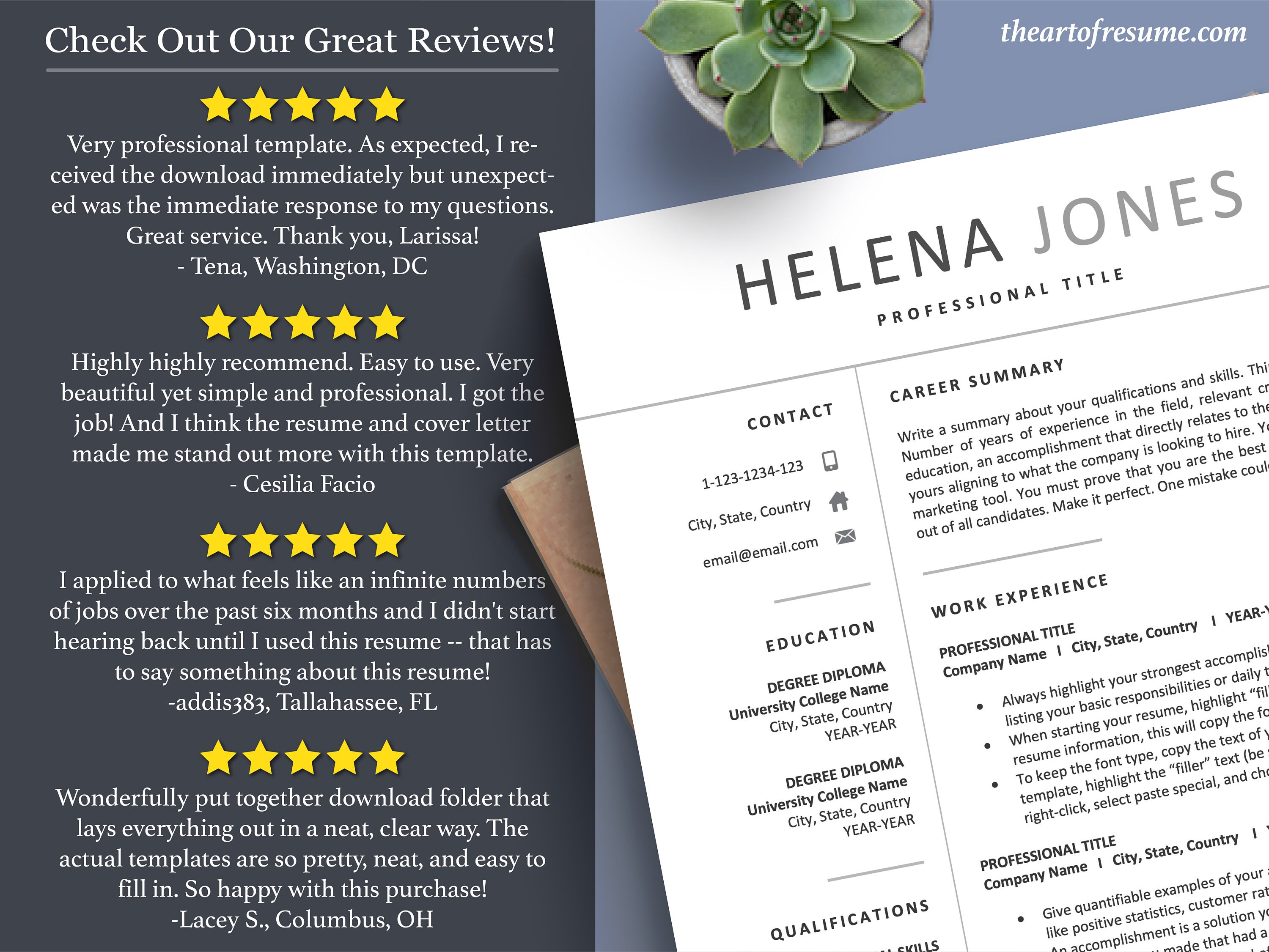 Professional Resume Template Bundle, 3 Page Resume Executive Resume ...