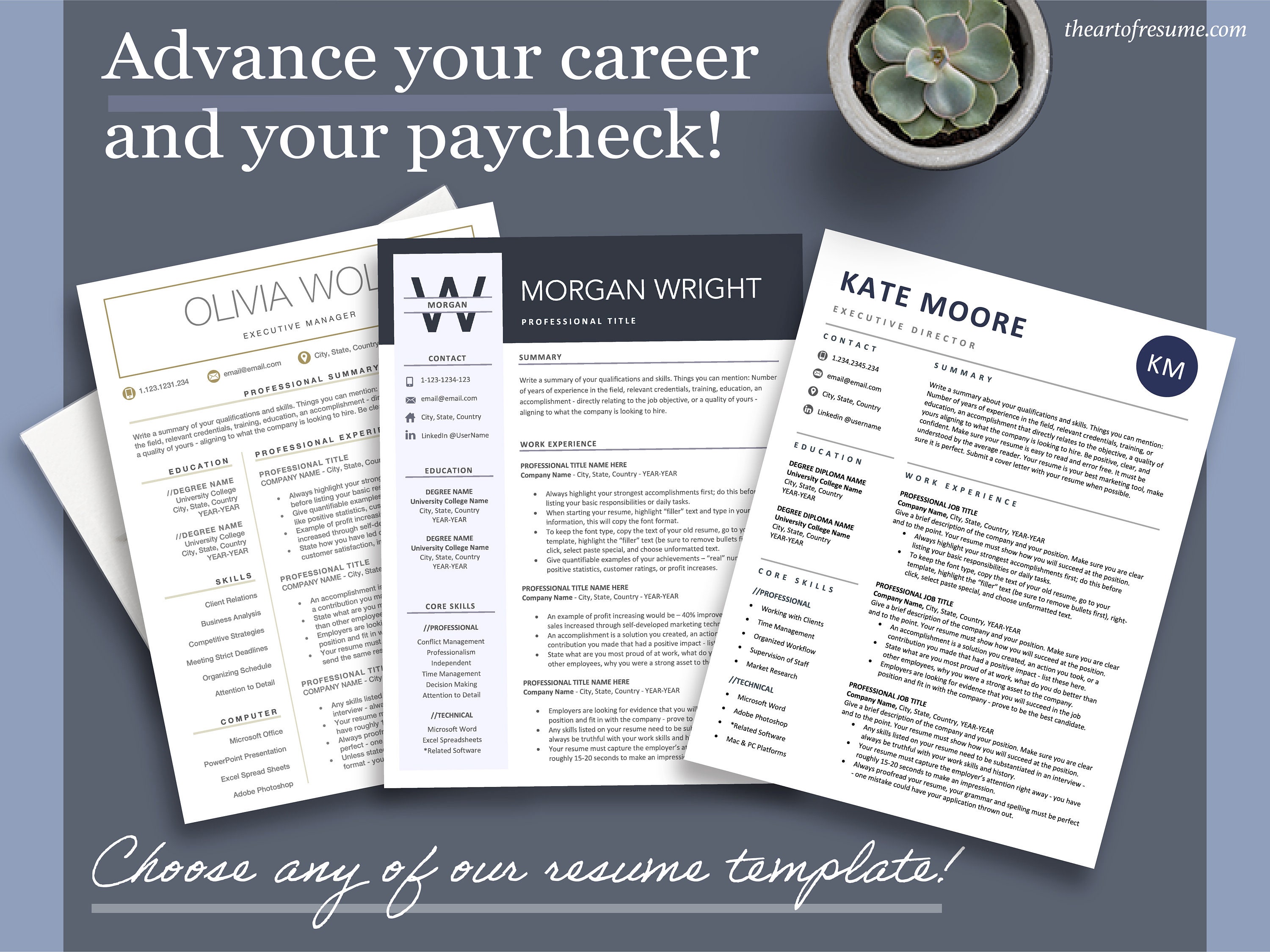 Resume Template Formatting Services CV Resume Help Builder Custom ...