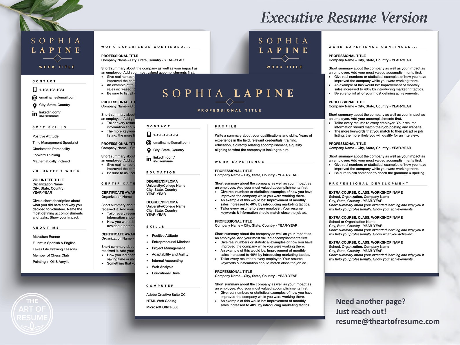 Professional Resume Templates, Executive Resume Formats, Modern Navy ...