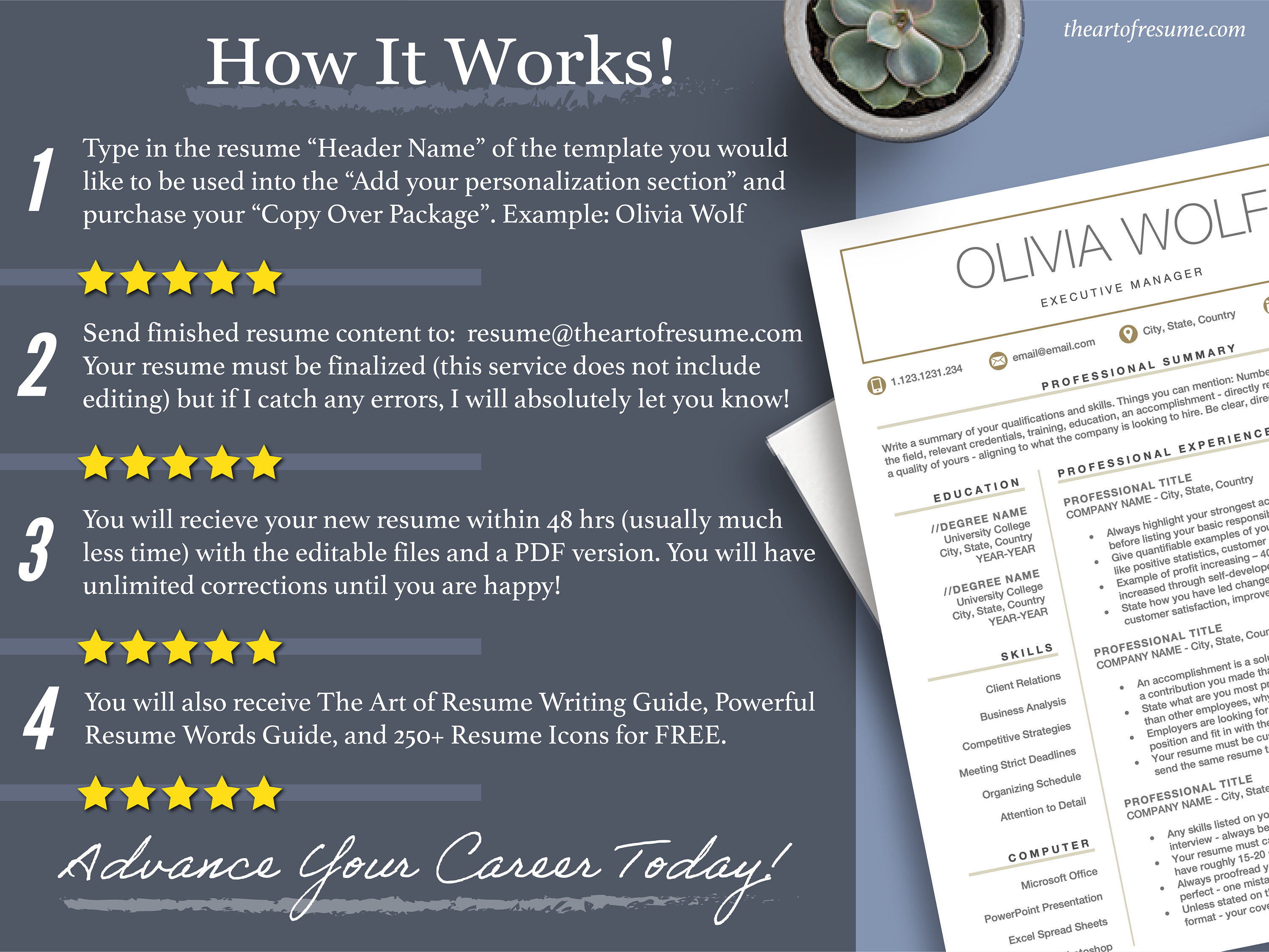 Resume Template Formatting Services | CV Resume Help Builder | Custom ...