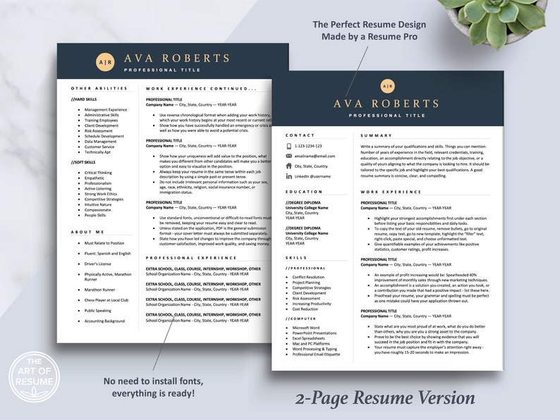 Executive Resume Templates - Resume Template Word, Mac Pages ...
