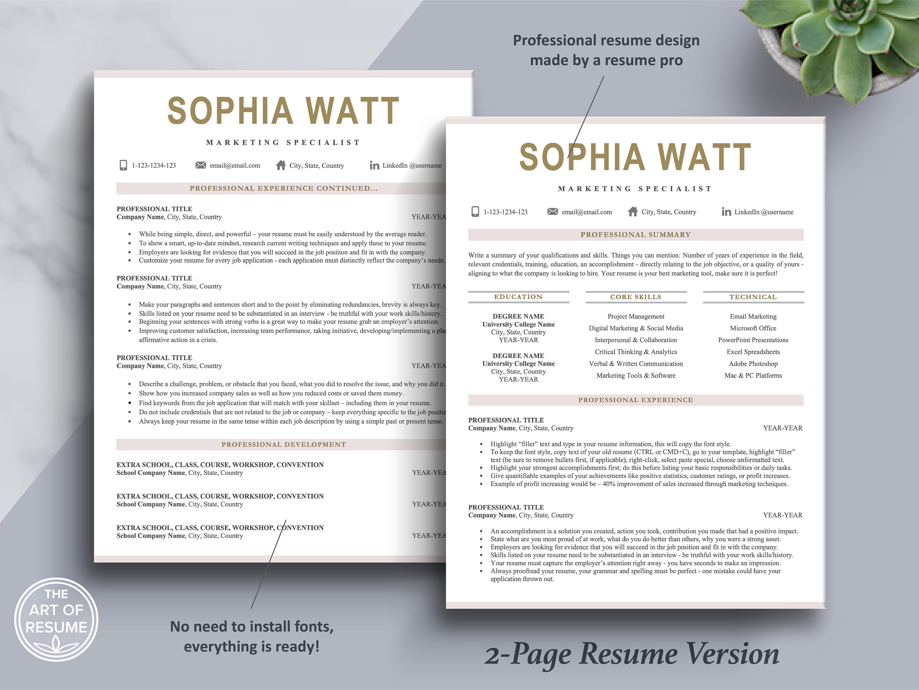 Professional Resume Templates, Editable Resume, CV Templates, Executive ...