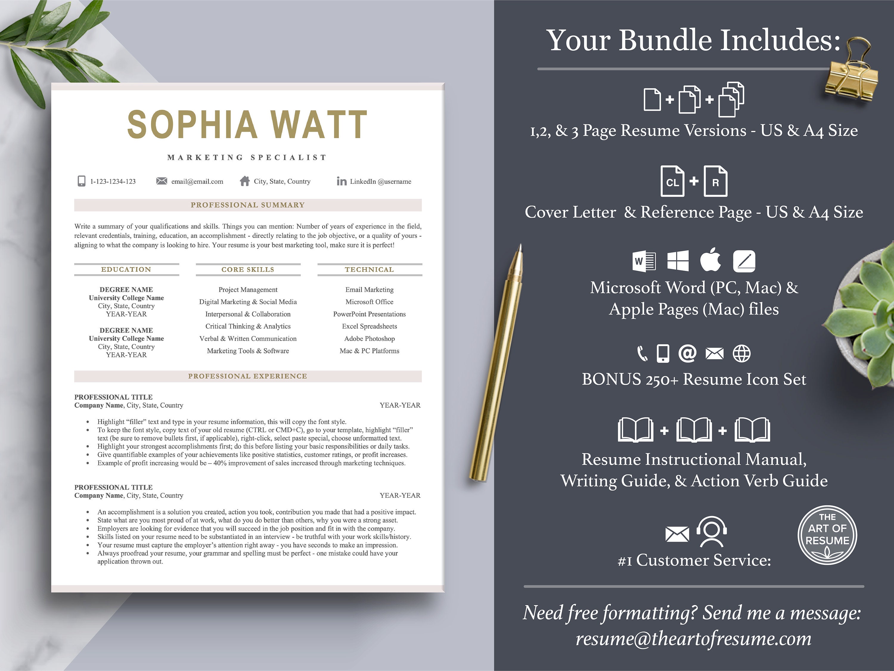 Professional Resume Templates, Editable Resume, CV Templates, Executive ...