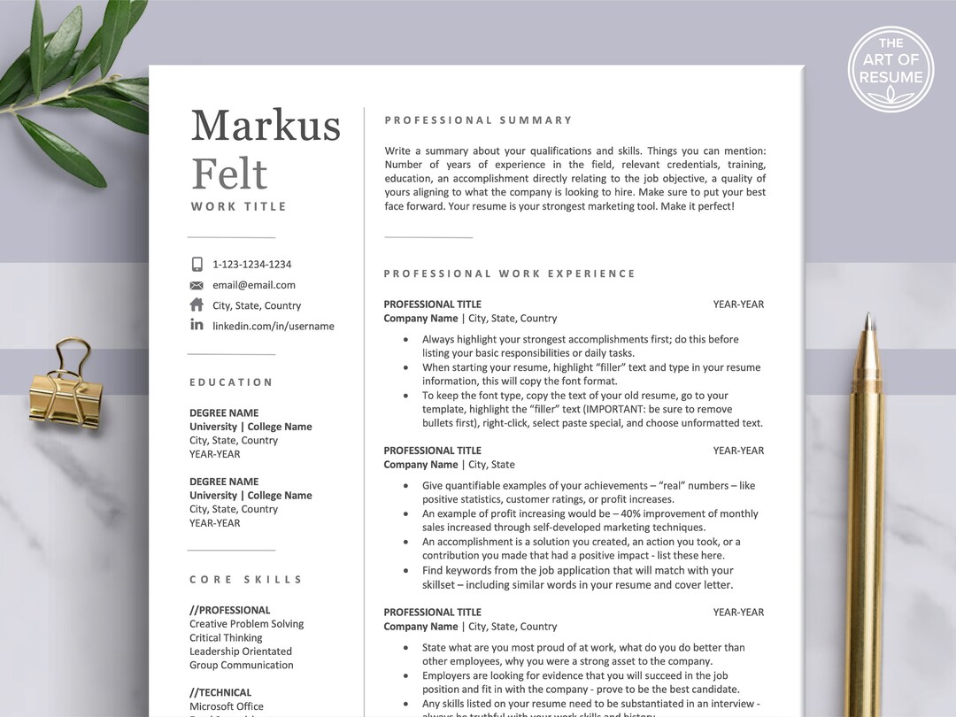Professional Resume CV Templates, Executive Resume, Resume Template ...
