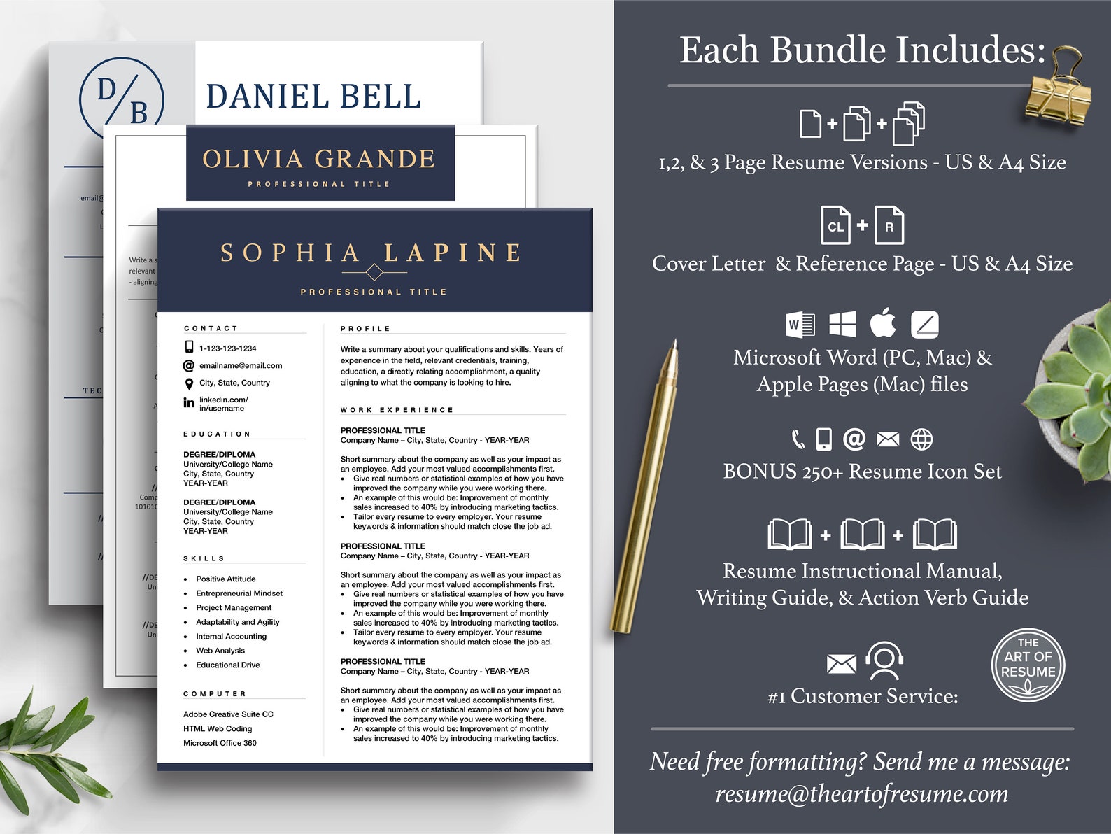 Resume Templates (3 Resume Designs) Professional Resumes, Executive ...