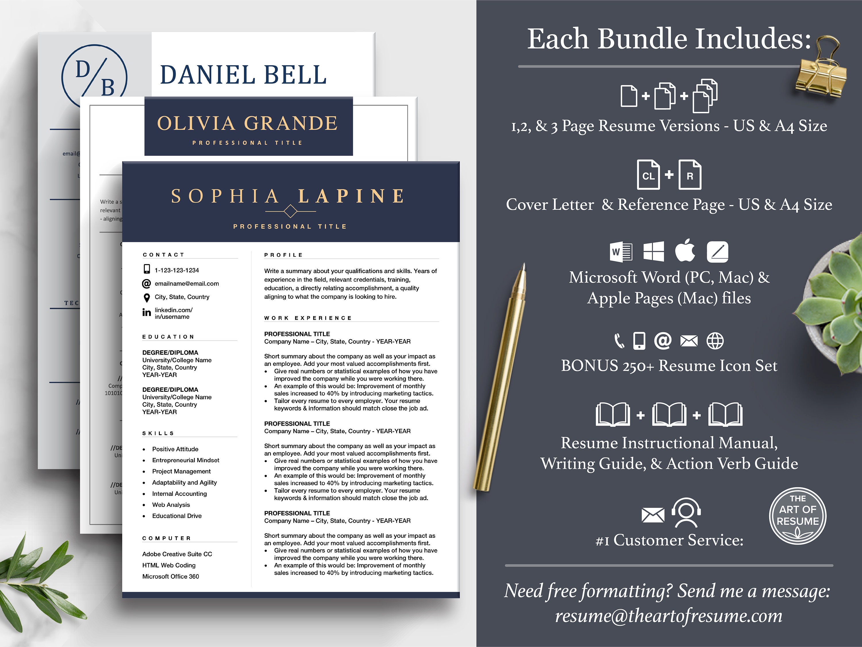 Resume Templates (3 Resume Designs) Professional Resumes, Executive ...