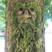 Tree Man Face - Etsy