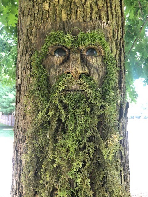 Tree Man Face - Etsy