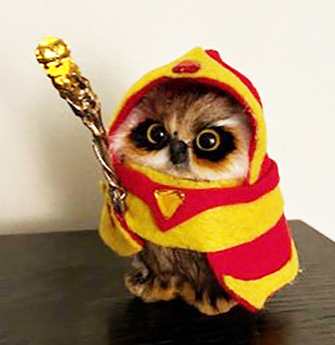 Pyromancer Supreme Owlventurer Shoulder Owl - Etsy