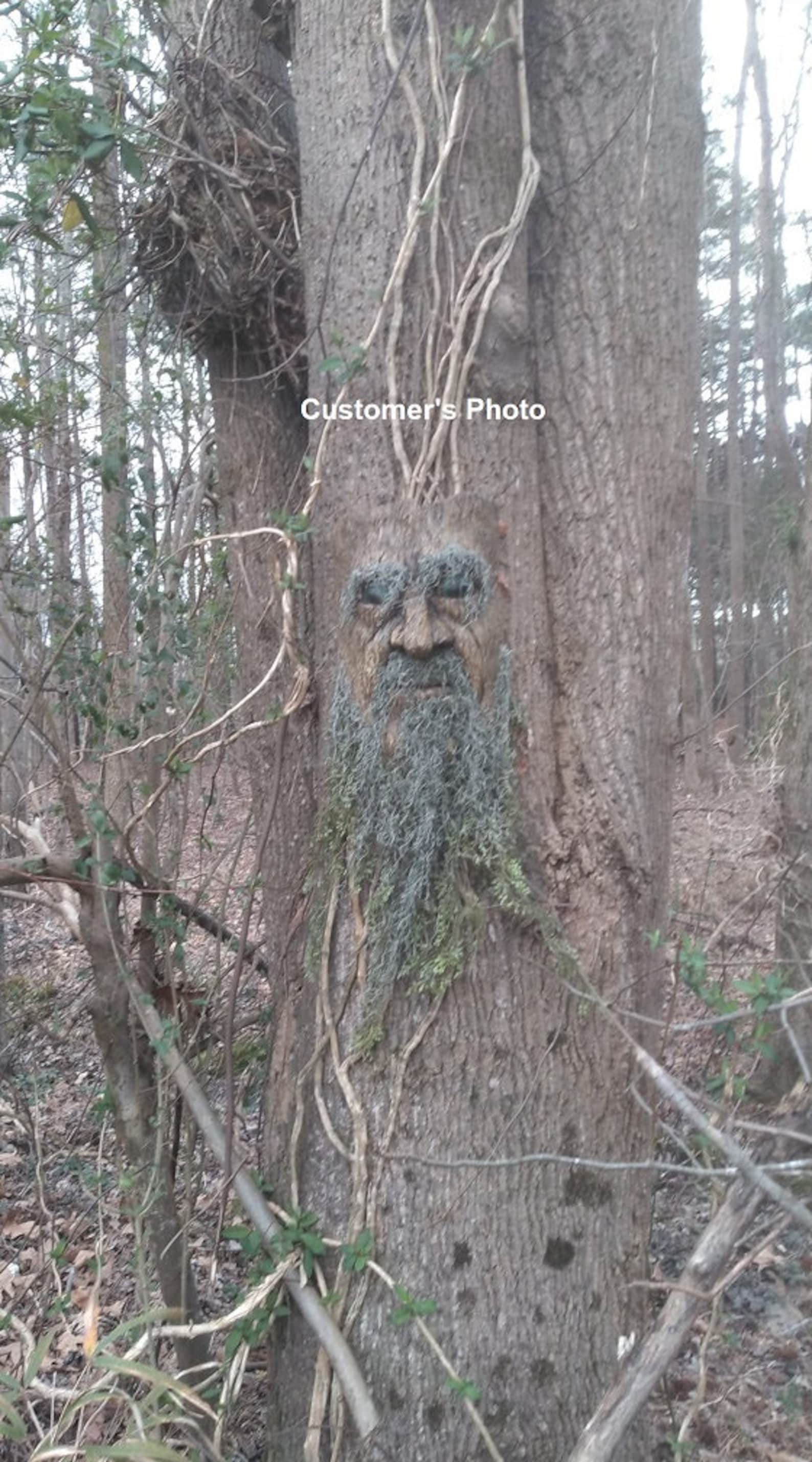Tree Man Face | Etsy